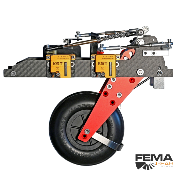 FEMA DUO L | 8-20 kg | M1:3 | FEMAwheel 127 mm, 452,00